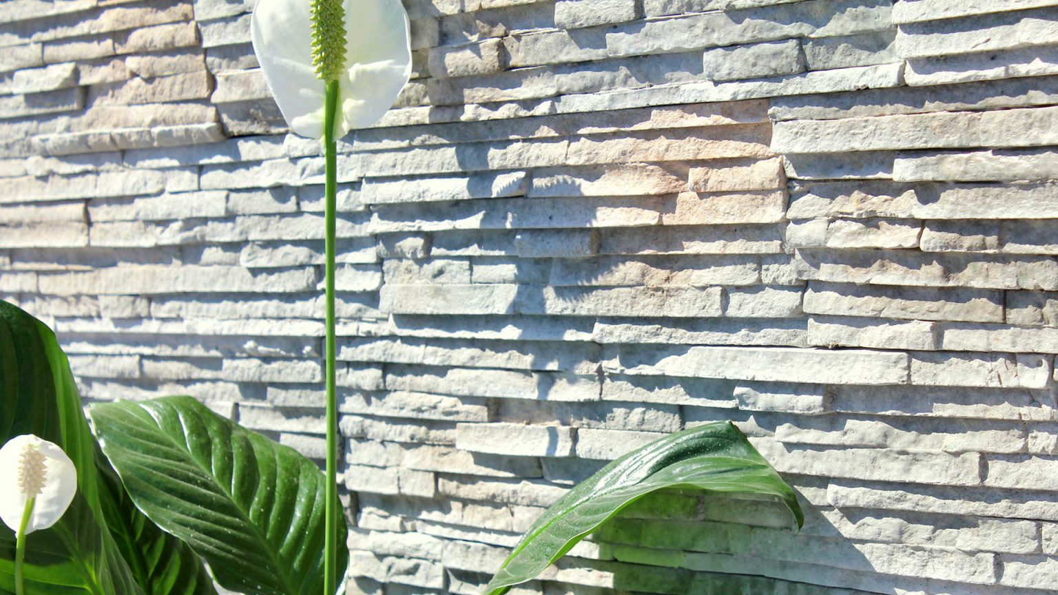 Experts in decorative Stone cladding | Thermostone®